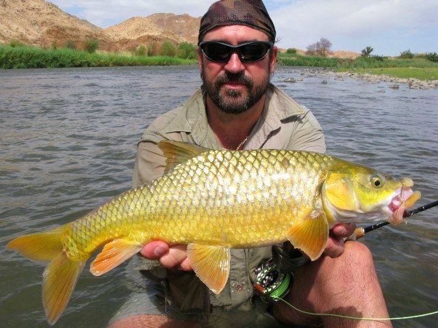 Fly Fishing Photo Gallery | Fly fishing for Yellowfish Pictures ...